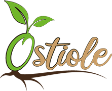 Comment mettre un suppositoire ? – Ostiole Isère